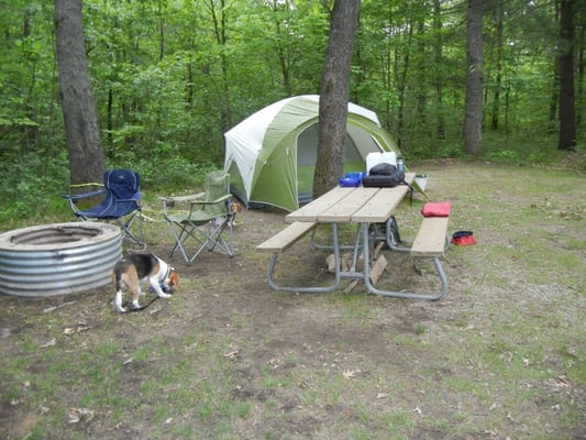 Newaygo State Park - Parks - Morley, MI - Yelp