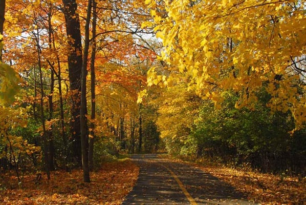 Ned Brown Forest Preserve - Parks - Elk Grove Village, IL - Yelp
